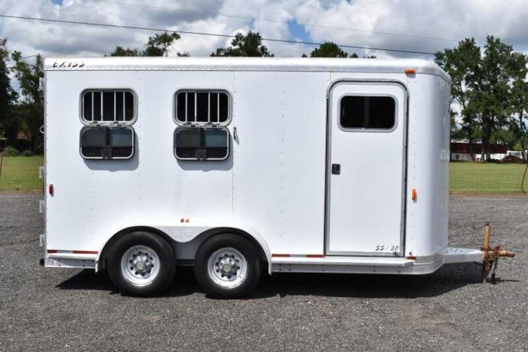 2002 Exiss SS20 2 Horse Trailer